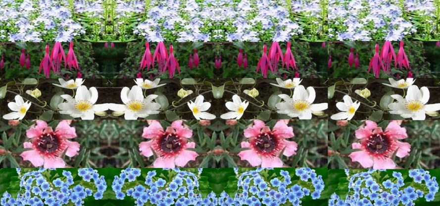 Transgender Remembrance – words of spirit and faith